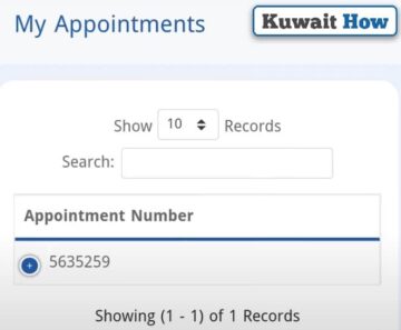 Meta Kuwait Online Appointment 2026: A Comprehensive Guide